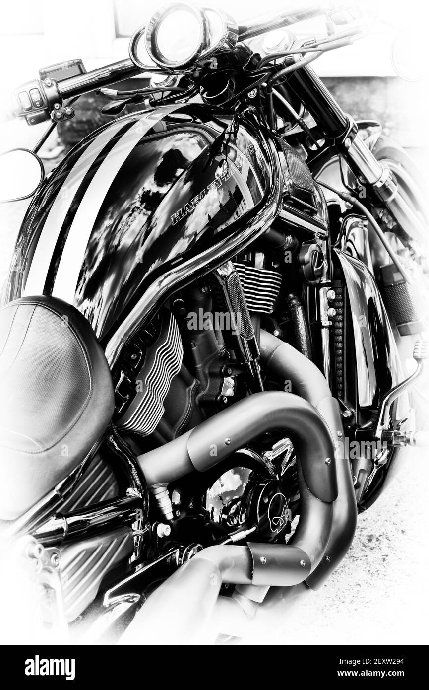 Harley davidson night rod hi-res stock photography and images - Alamy