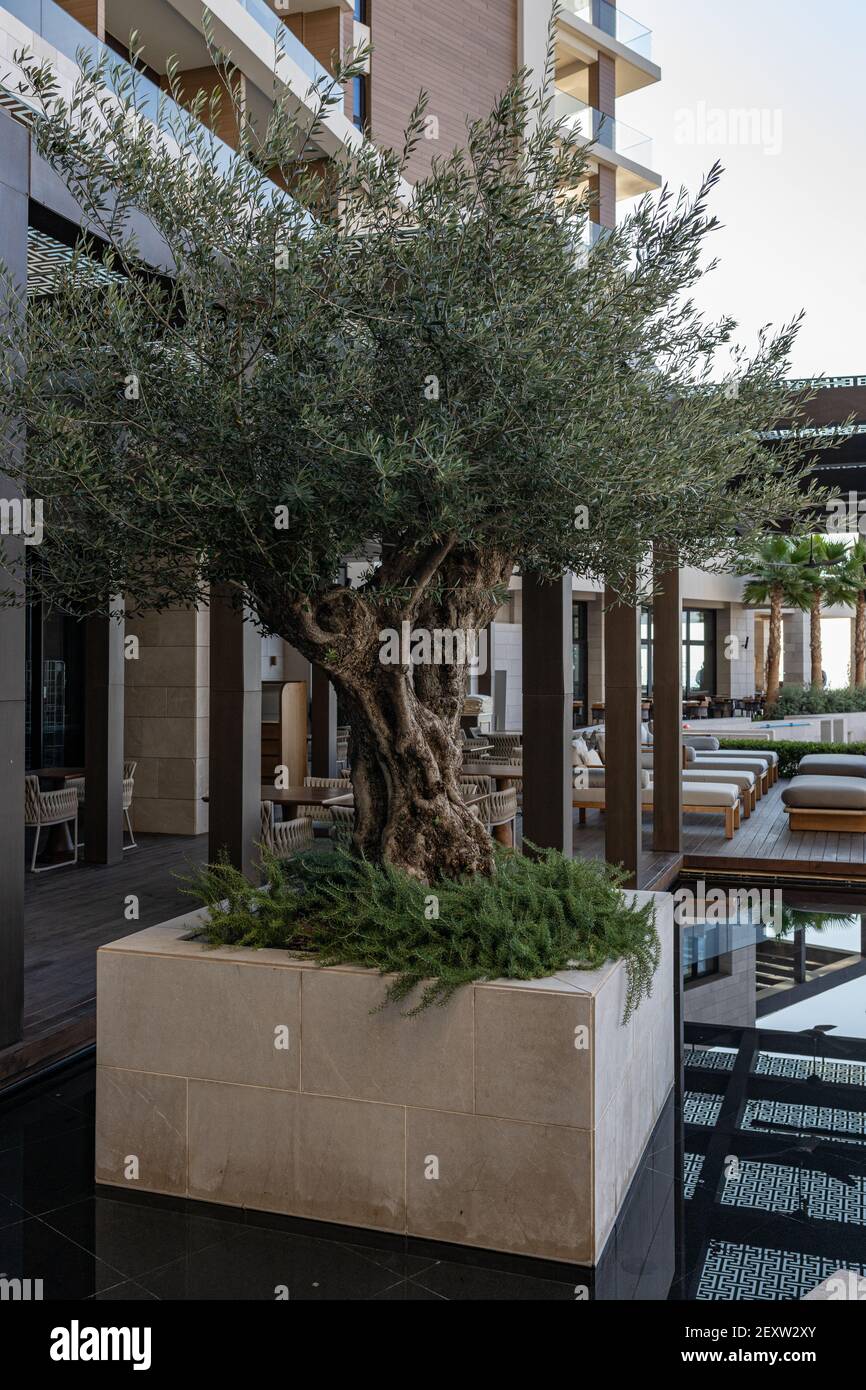 Luxury hotel exterior modern design Stock Photo - Alamy