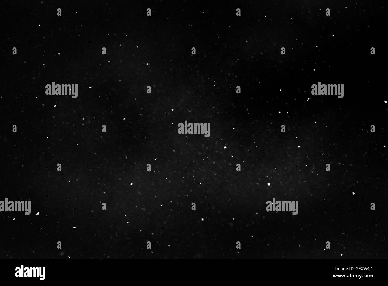 Background high quality christmas Black and White Stock Photos & Images ...