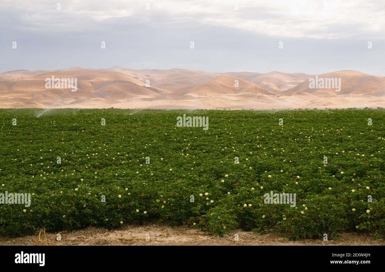 Industrial plant california hi-res stock photography and images - Alamy