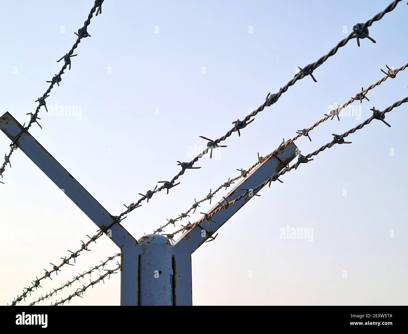 Closeup shot of barbed wires against the blue sky Stock Photo - Alamy