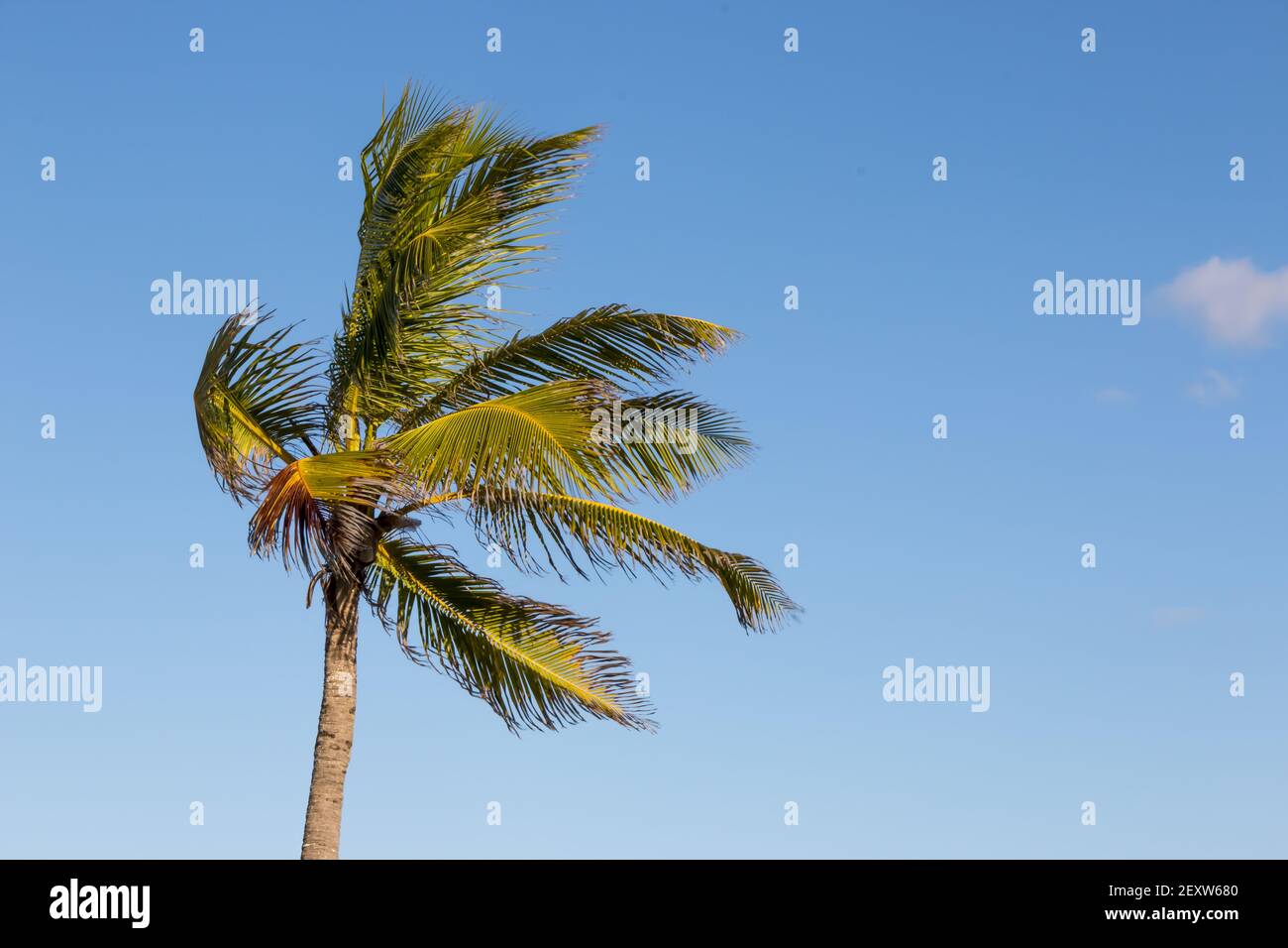 Beautiful sand beach scene hi-res stock photography and images - Alamy