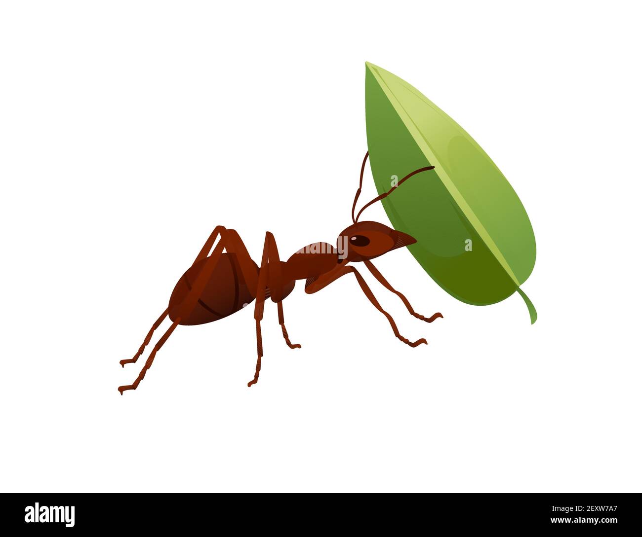 Cute brown ant holding a green leaf cartoon bug animal design vector ...