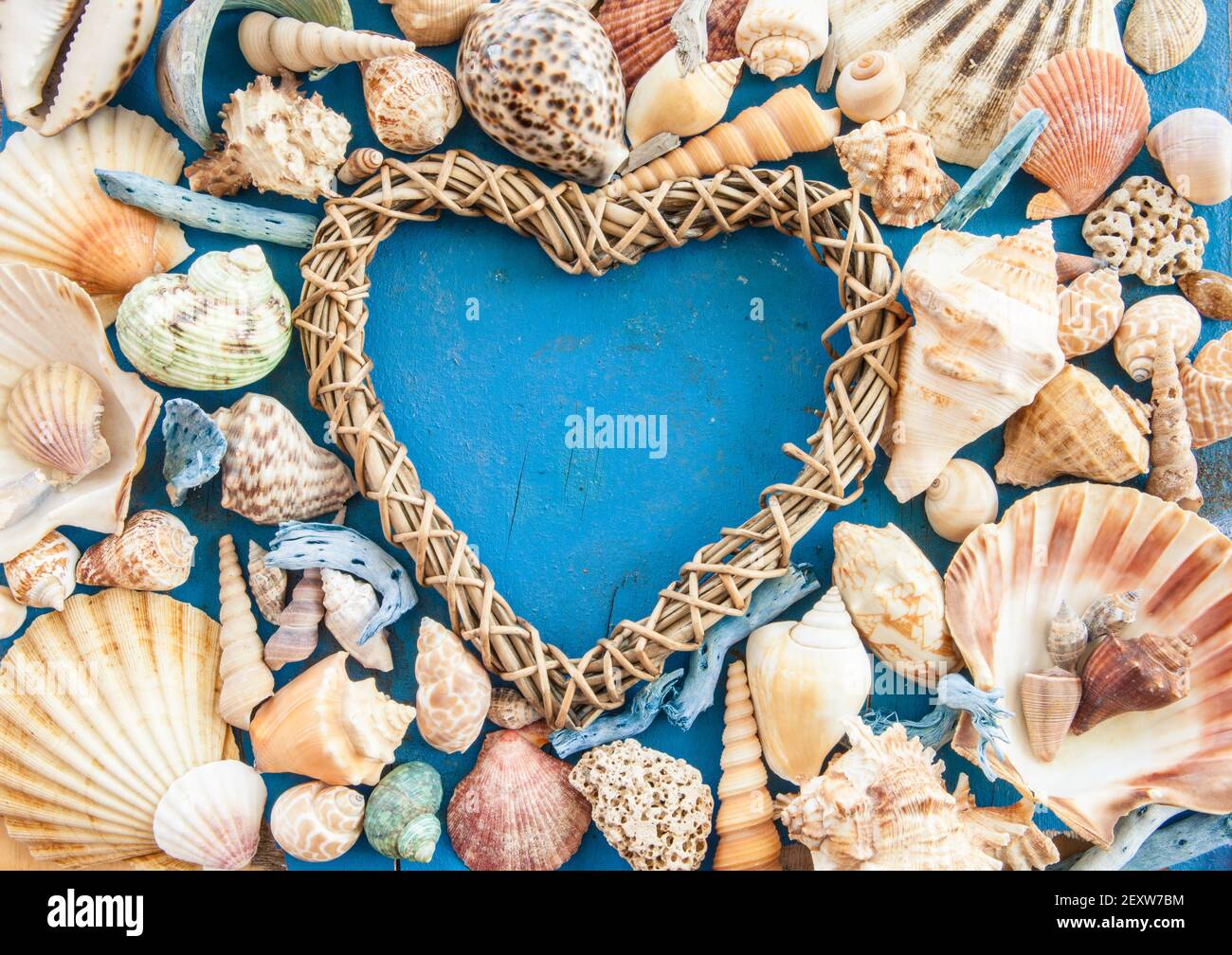 Weathered shells hi-res stock photography and images - Alamy