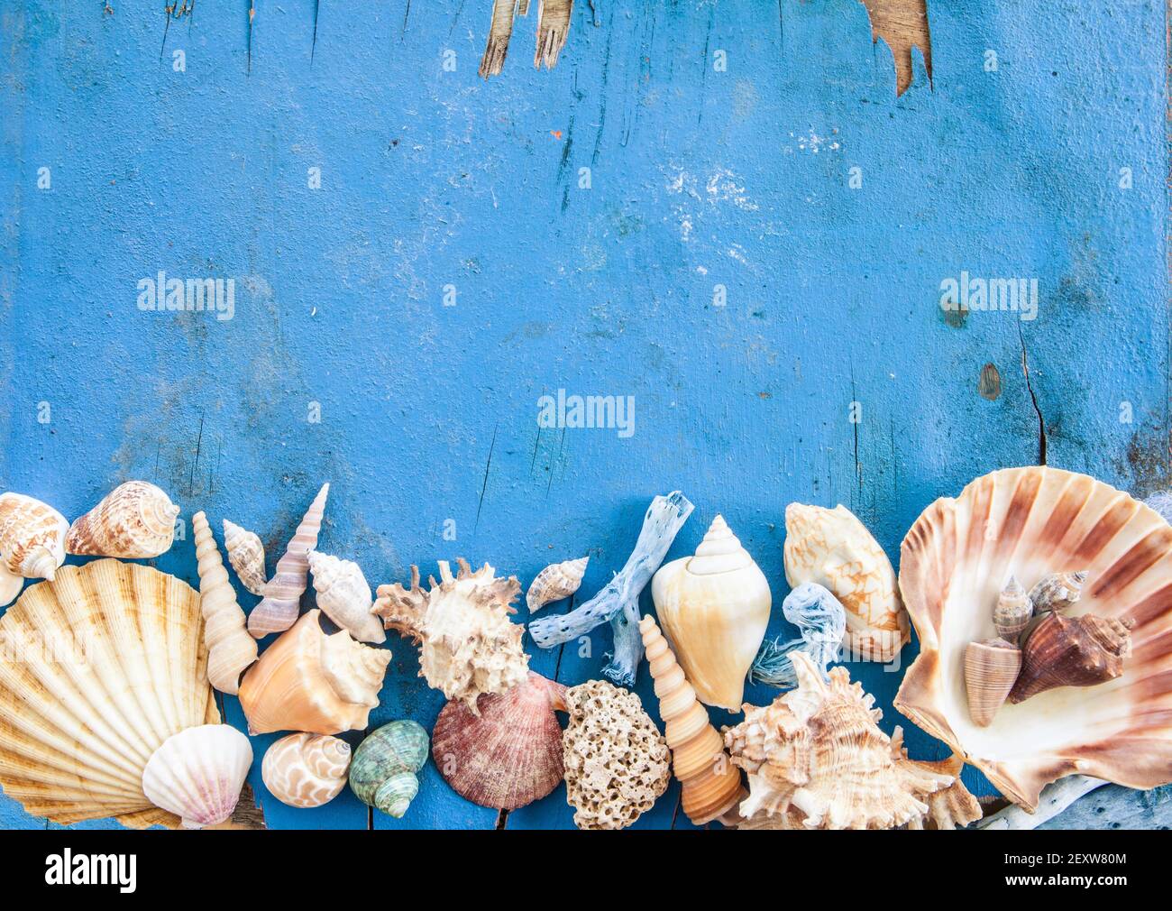 Weathered shells hi-res stock photography and images - Alamy