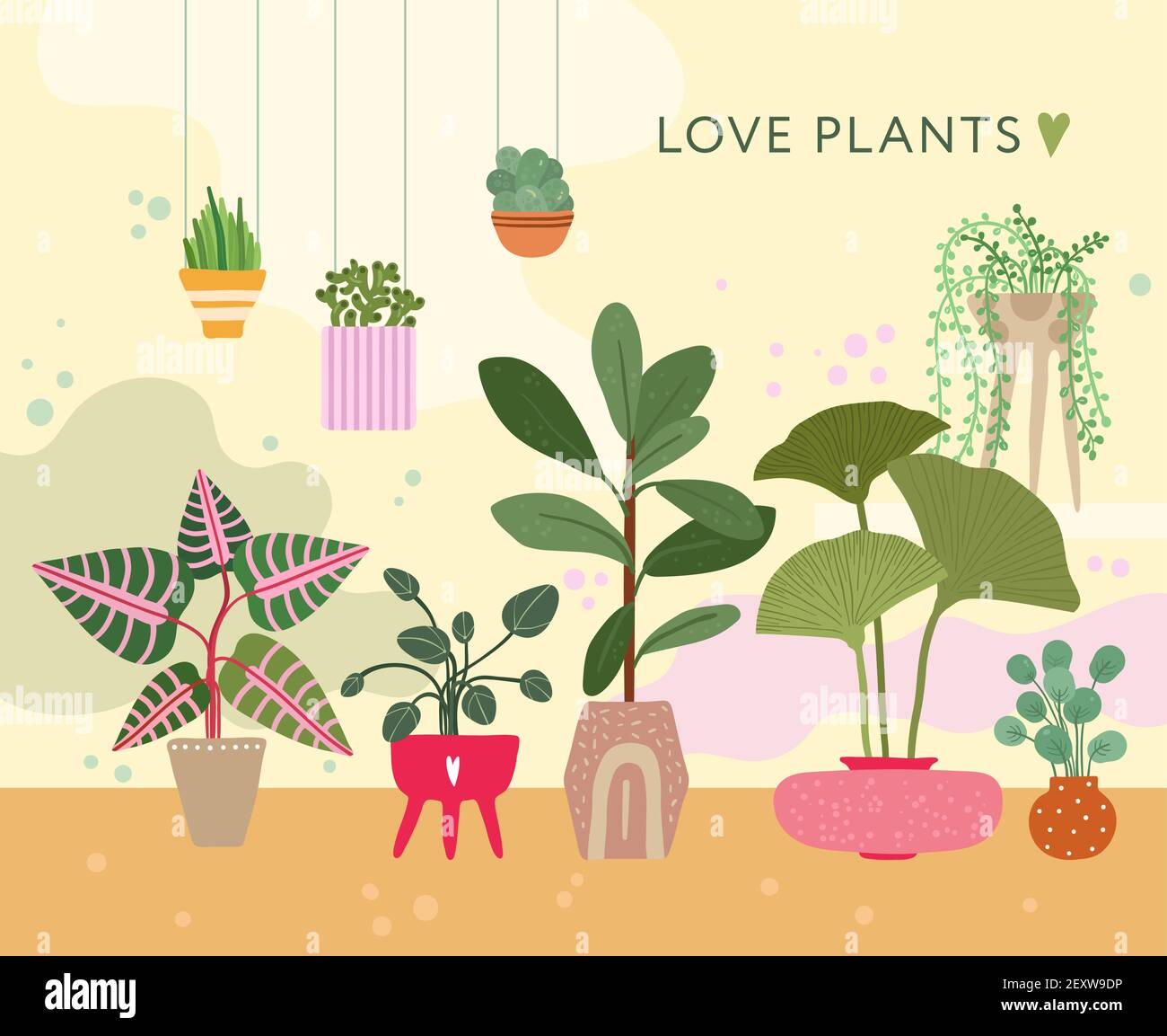 House plants. Green home, floral succulents decor. Flat scandinavian ...