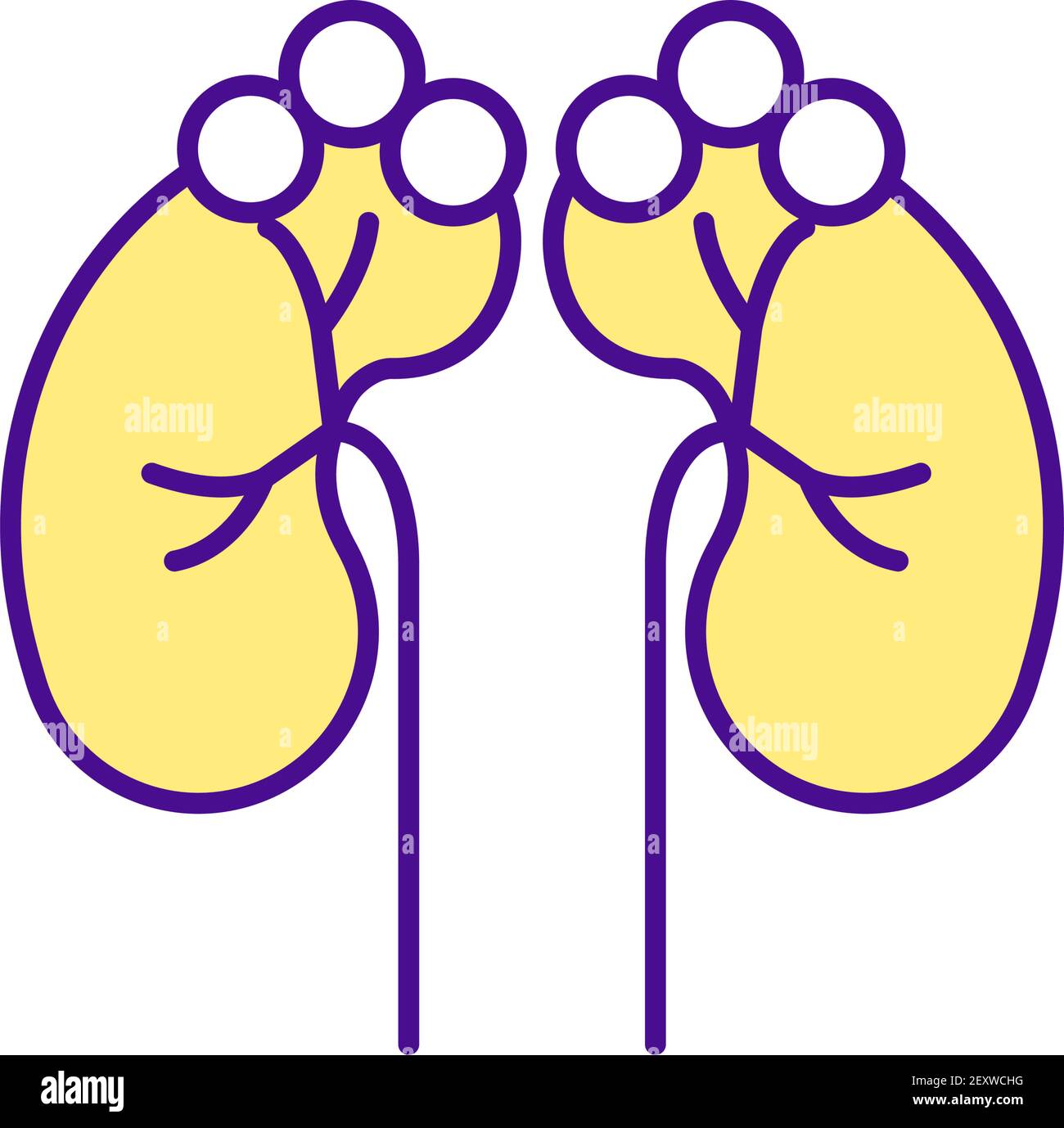 Human kidneys icon cartoon Cut Out Stock Images & Pictures - Alamy