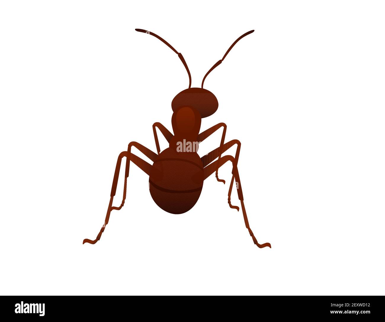 Cute brown ant looks around cartoon bug animal design vector ...