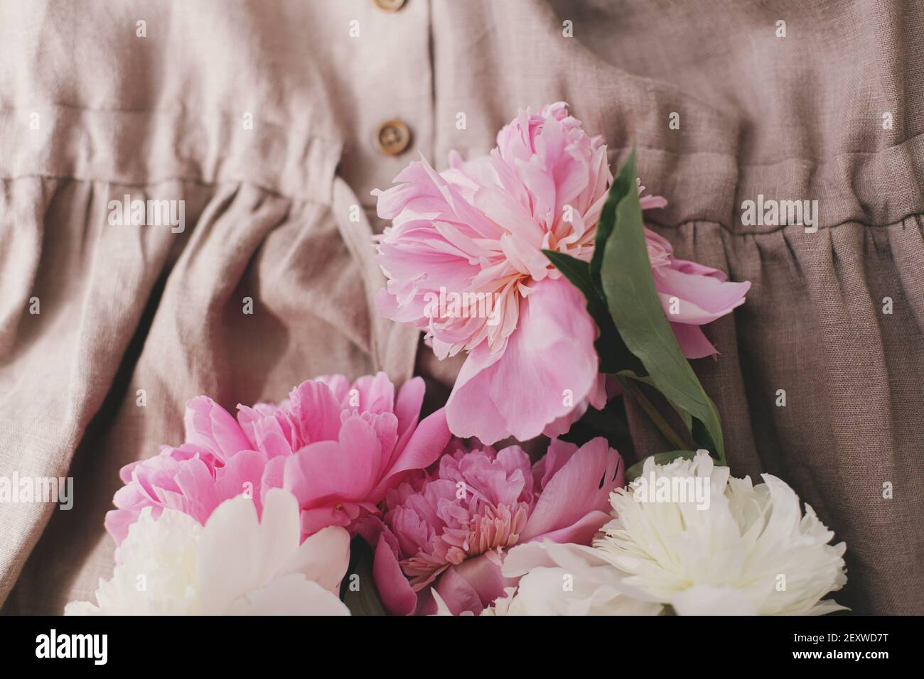 Beautiful peonies on rustic linen dress in soft sunny light in room ...