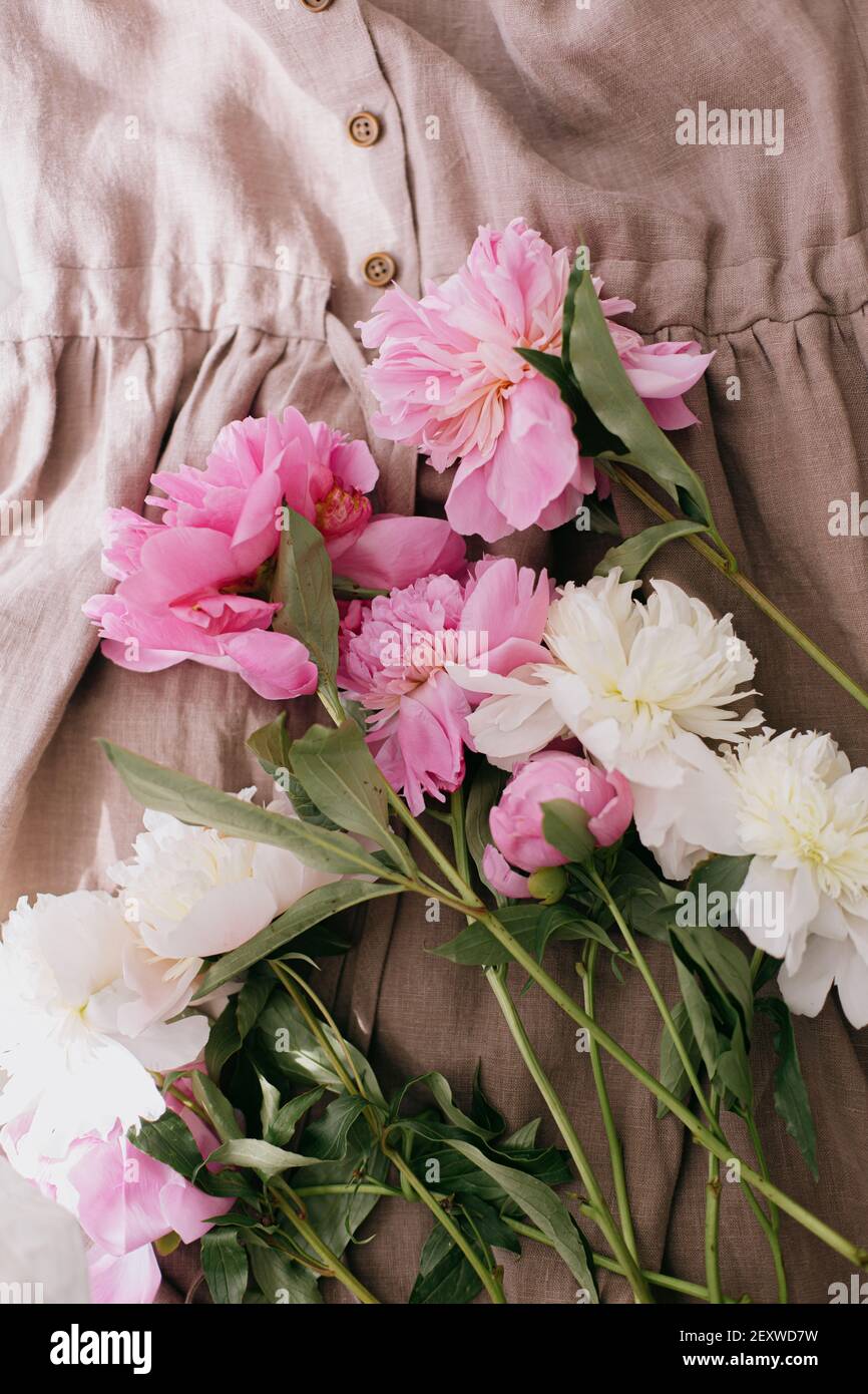 Beautiful peonies on rustic linen dress in soft sunny light in room ...