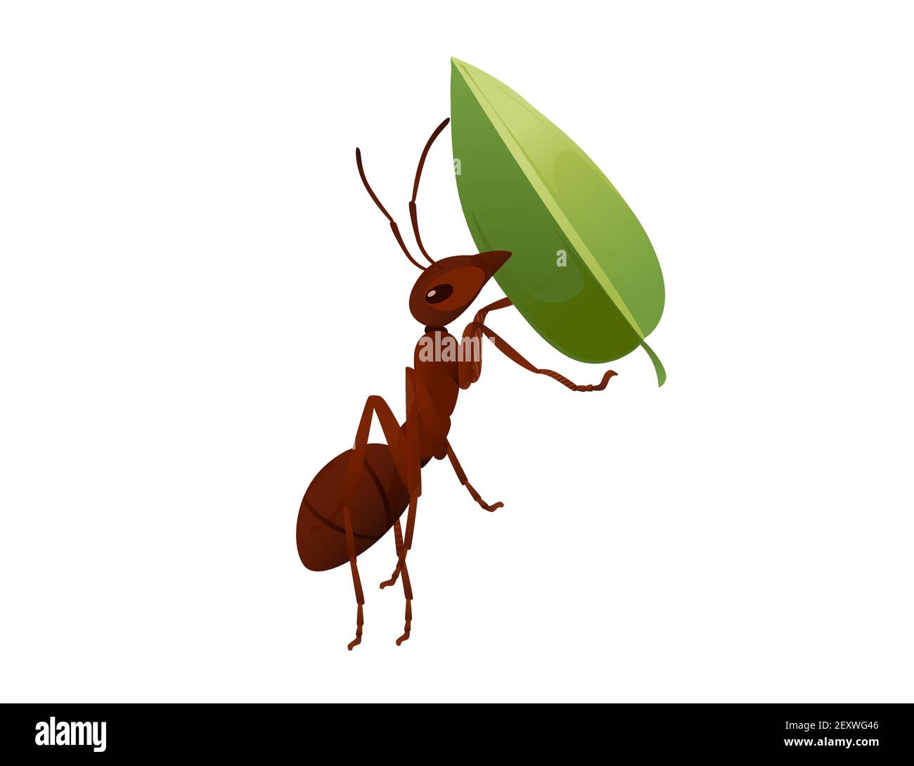 Cute brown ant holding a green leaf cartoon bug animal design vector ...