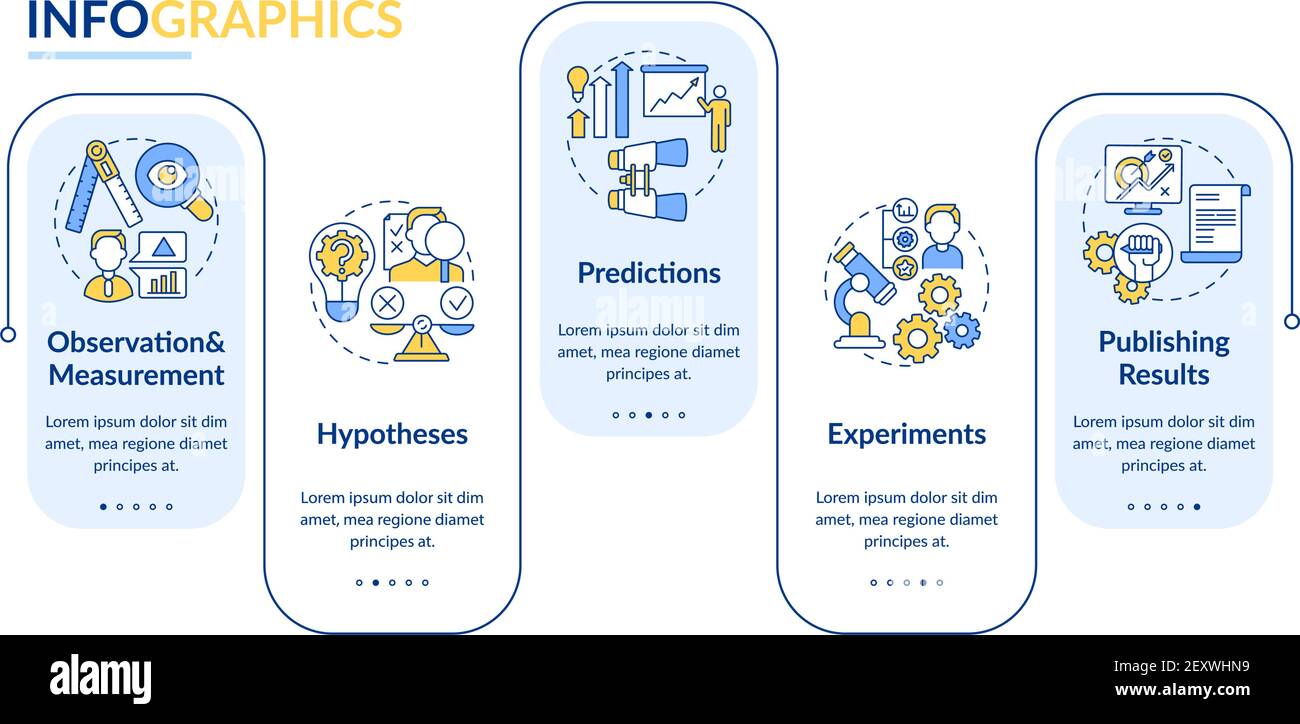 Observation and measurement vector infographic template Stock Vector ...