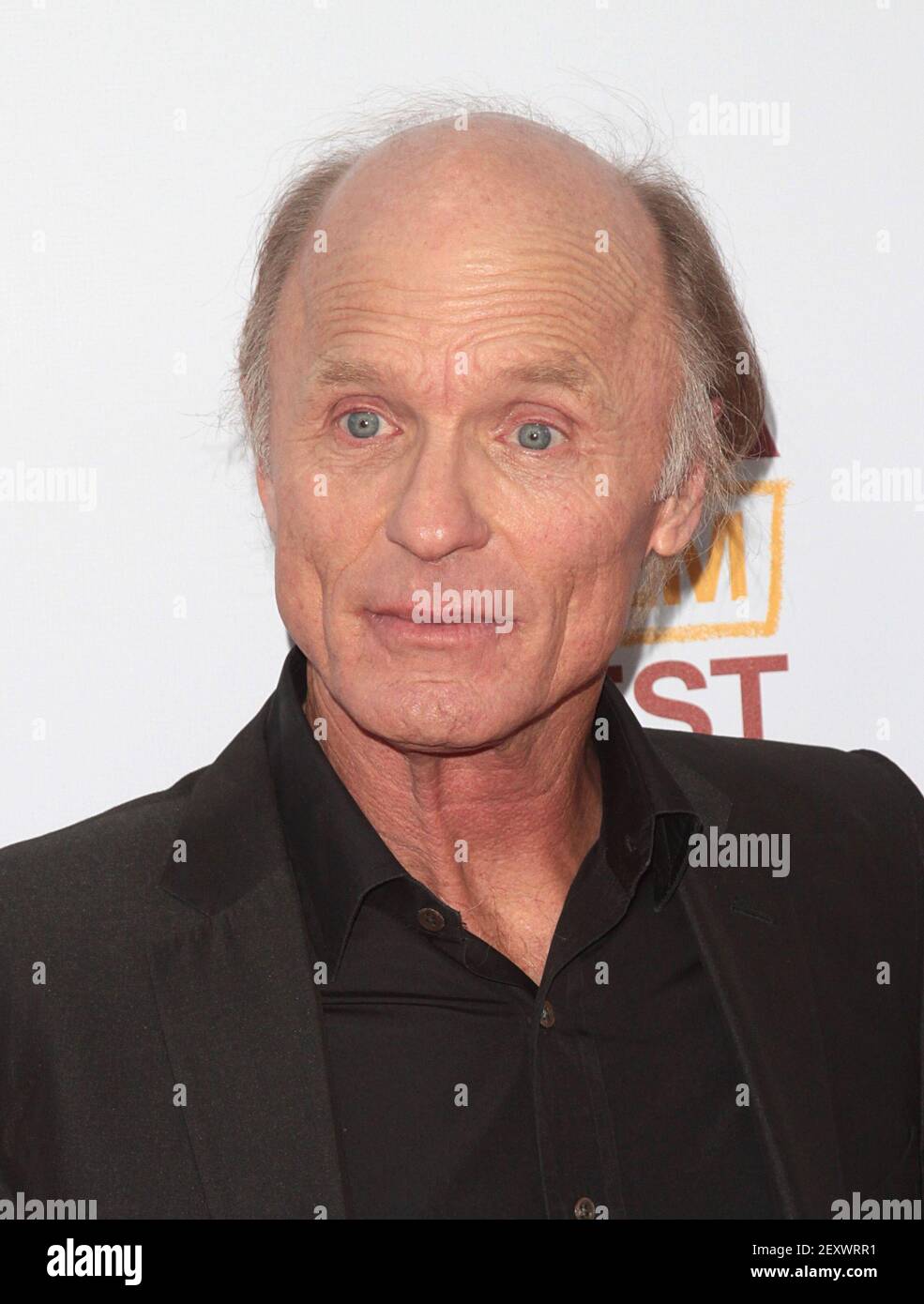 Ed Harris attends The 20th Anniversary Los Angeles Film Fest Opening ...