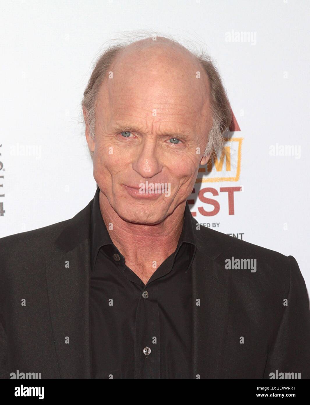 Ed Harris attends The 20th Anniversary Los Angeles Film Fest Opening ...