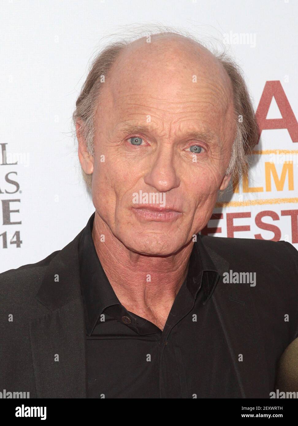 Ed Harris attends The 20th Anniversary Los Angeles Film Fest Opening ...