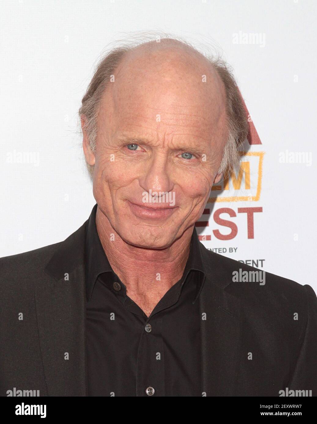 Ed Harris attends The 20th Anniversary Los Angeles Film Fest Opening ...