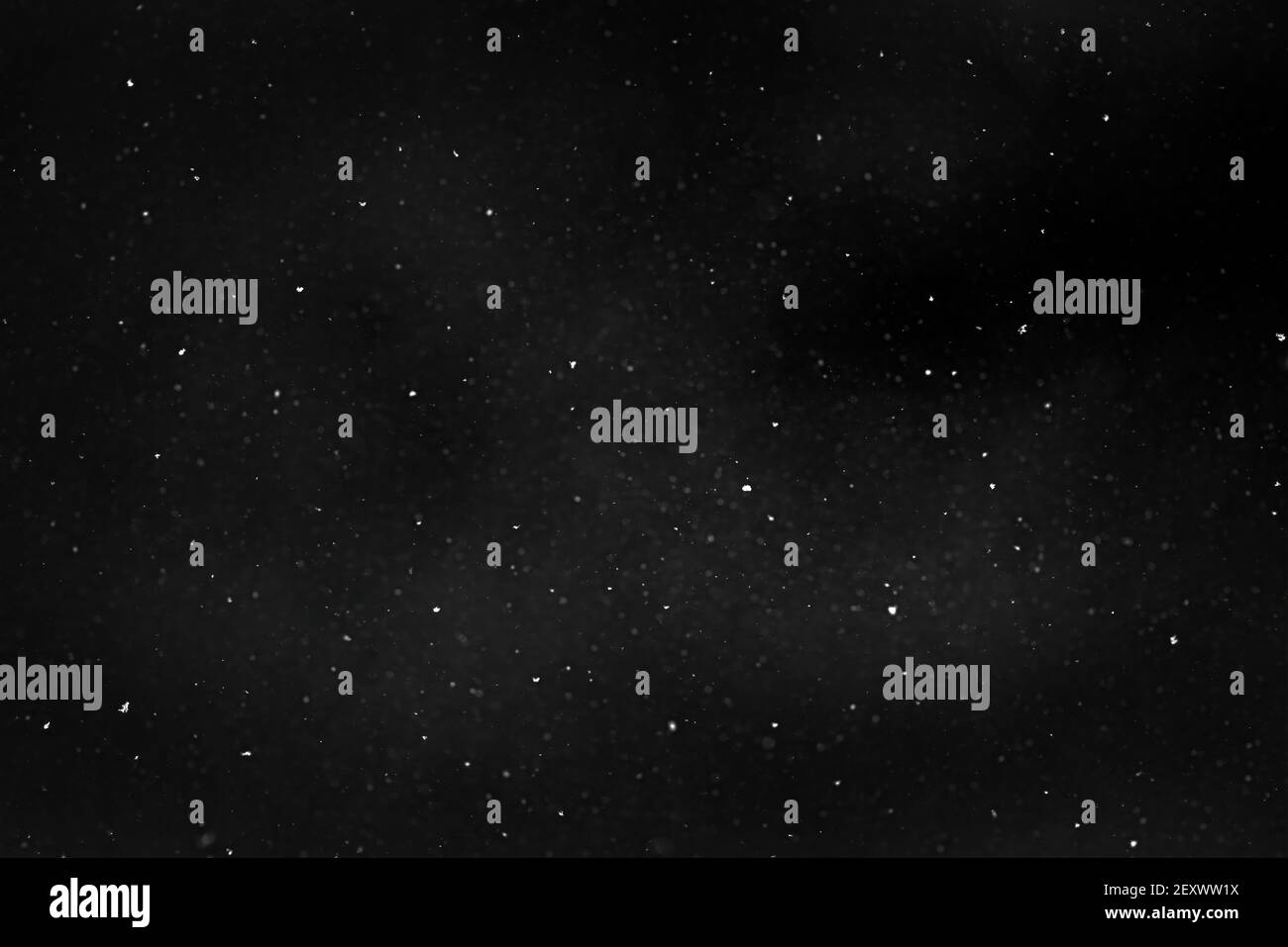 Flying snow on black background. Snow overlay texture. High quality ...