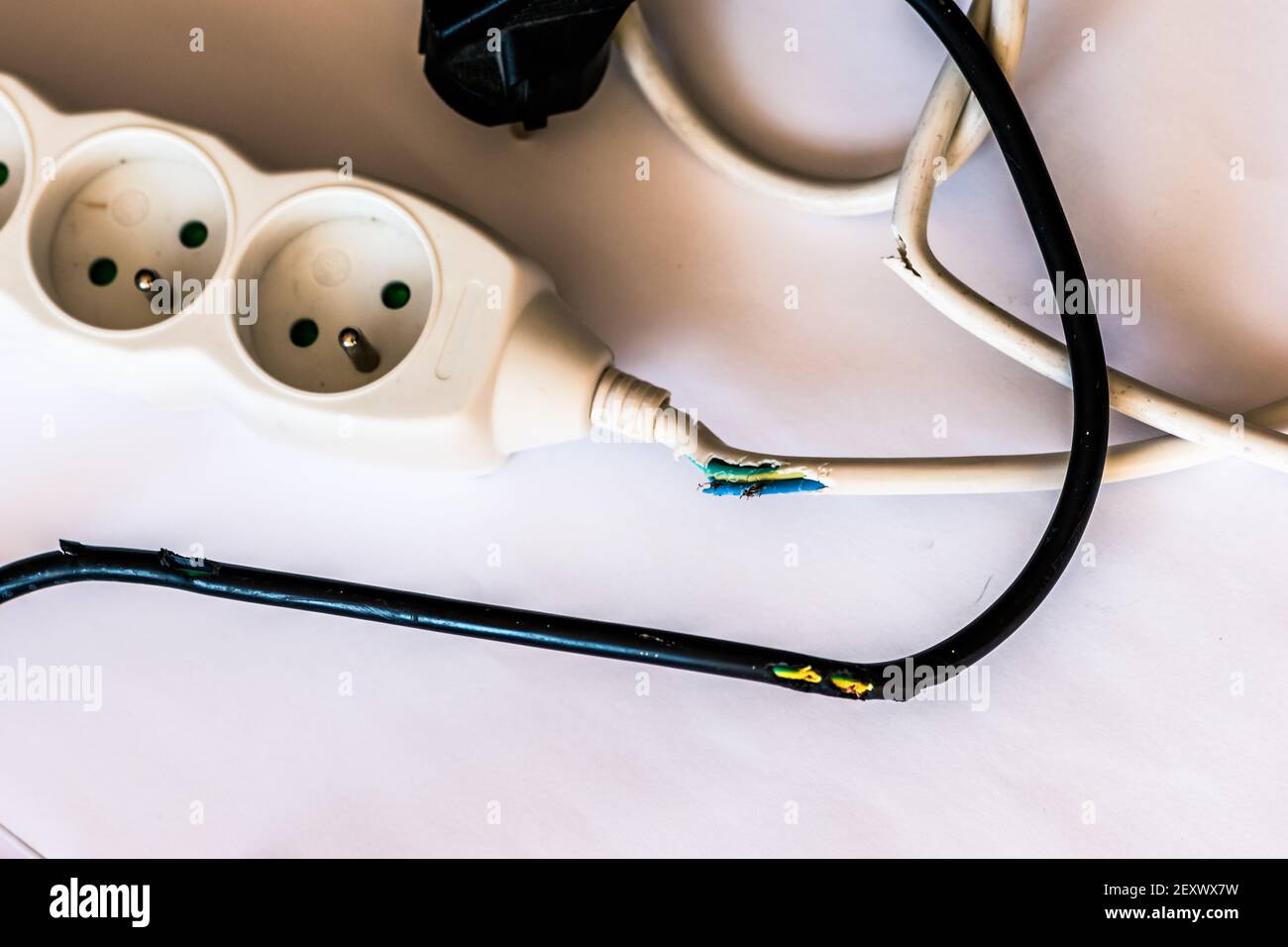 wire cable damaged by rabbit chewing Stock Photo - Alamy