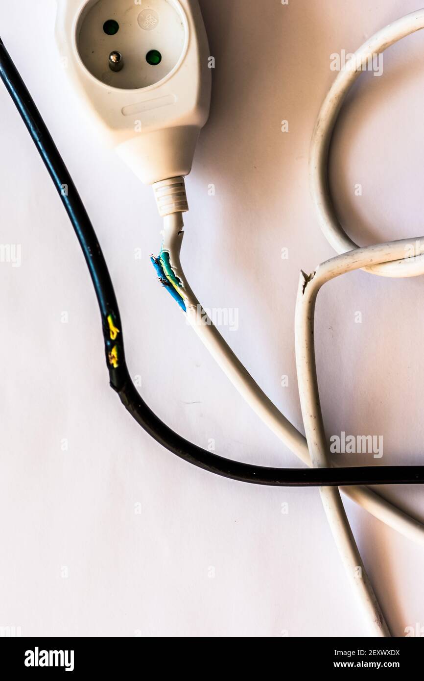 Rat chewing cable hi-res stock photography and images - Alamy
