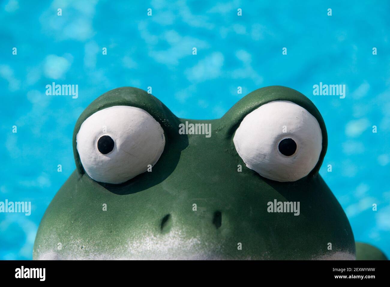 Frog eye view Stock Photo - Alamy