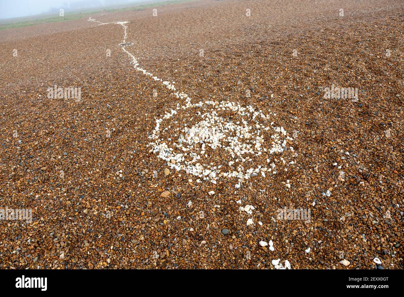 Coastal fog adds mystery to a line of white shells crossing pebble ...
