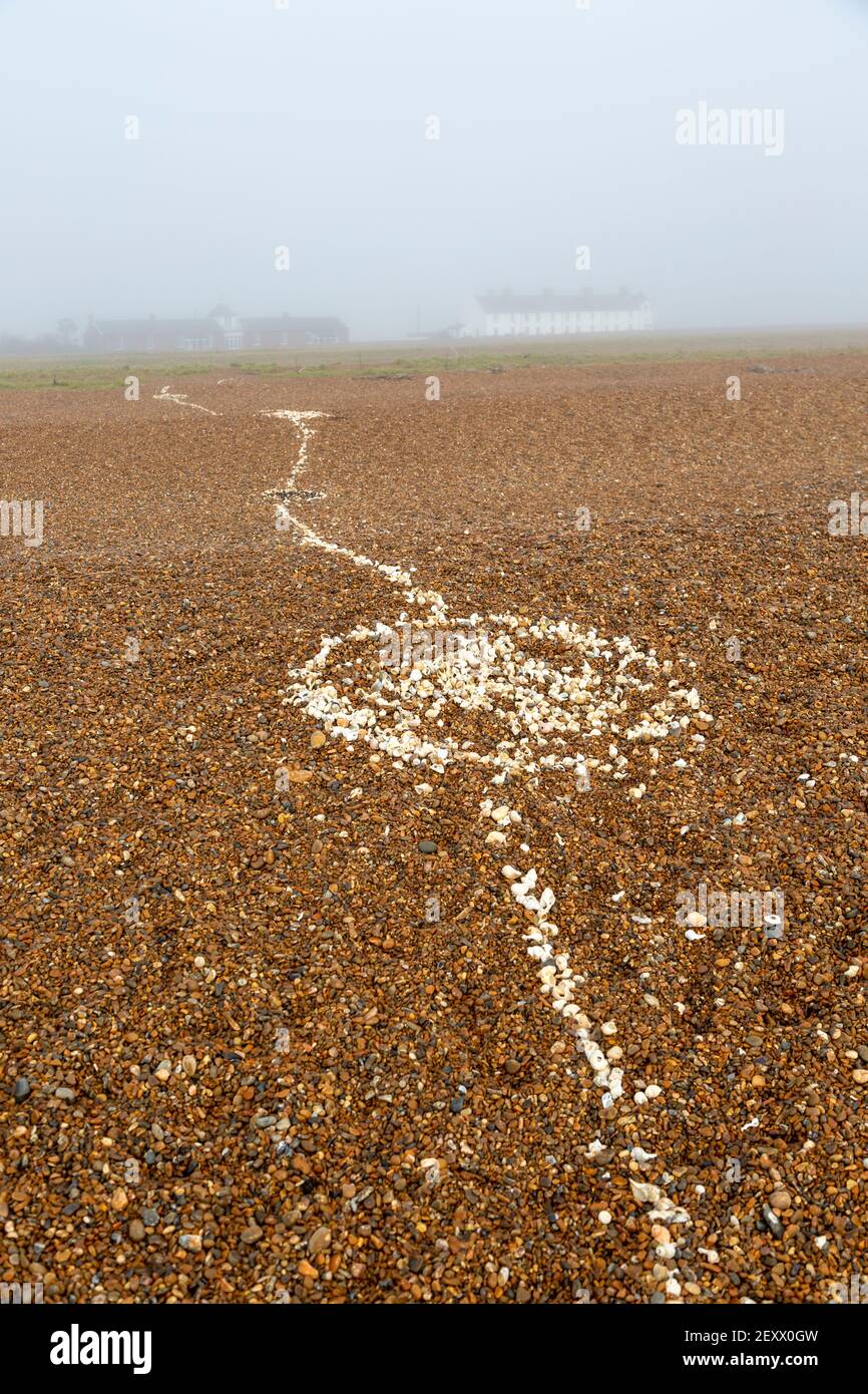 Coastal fog adds mystery to a line of white shells crossing pebble ...