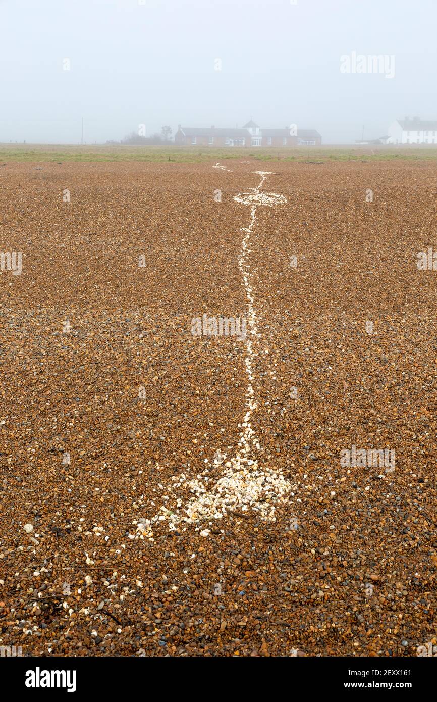 Coastal fog adds mystery to a line of white shells crossing pebble ...
