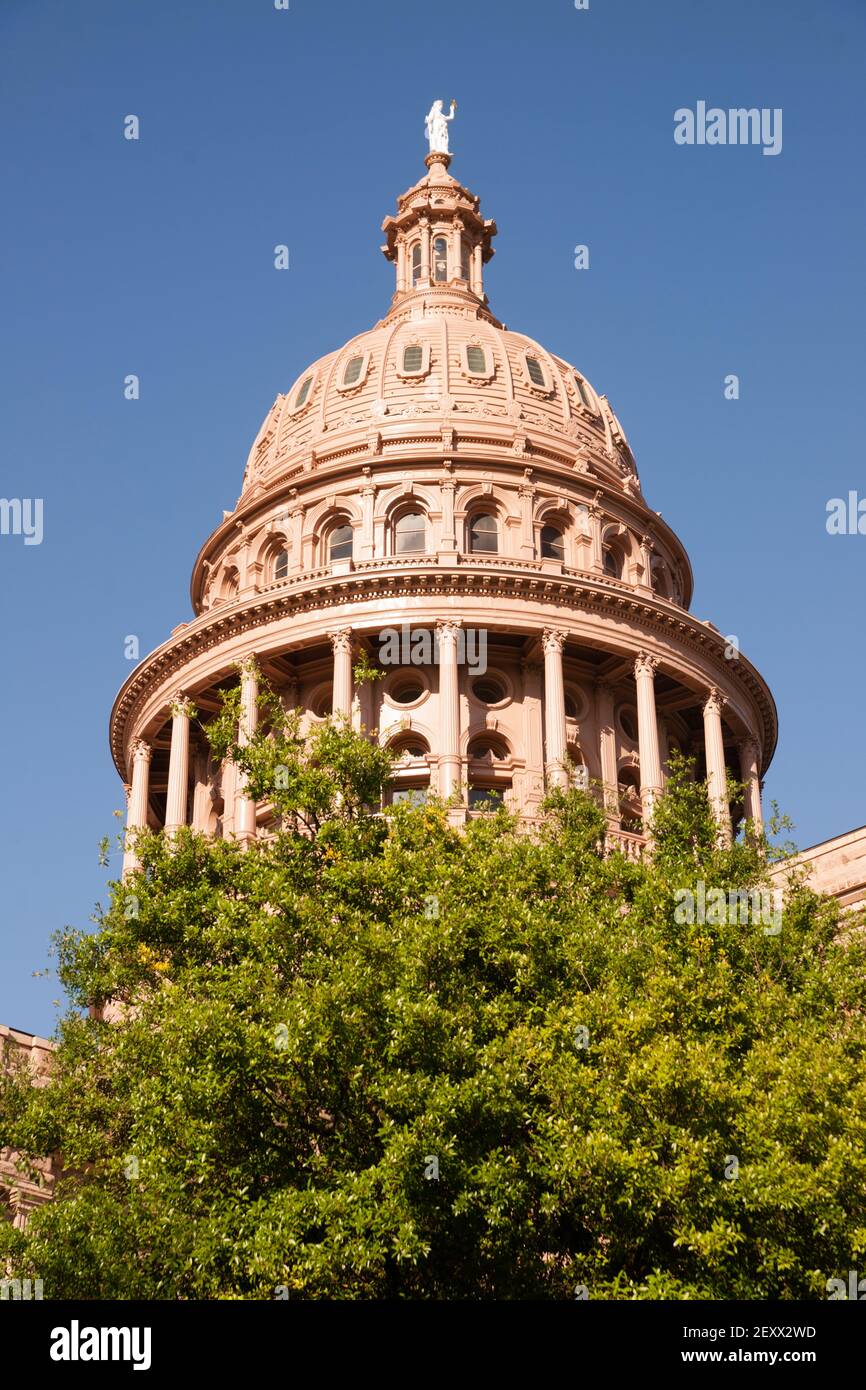 Austin hedges hi-res stock photography and images - Alamy