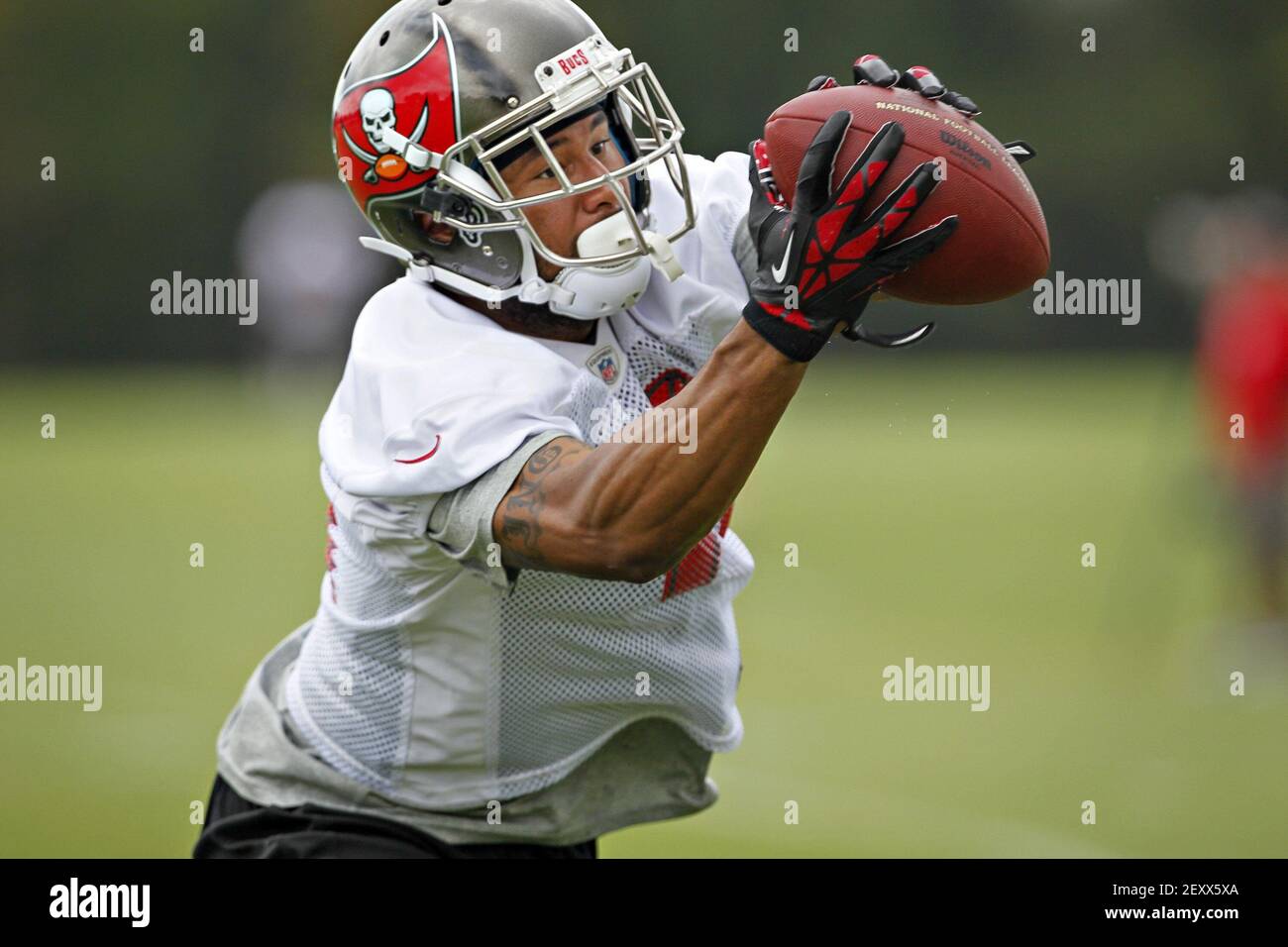 Tampa Bay Bucaneers wide receiver Louis Murphy Jr. during practice at ...
