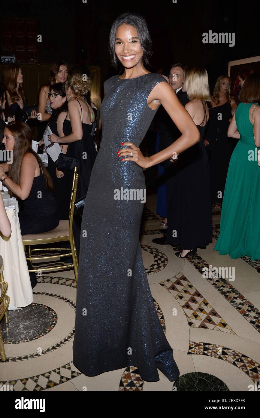 Model Arlenis Sosa attends the Happy Hearts Fund 10 year anniversary ...