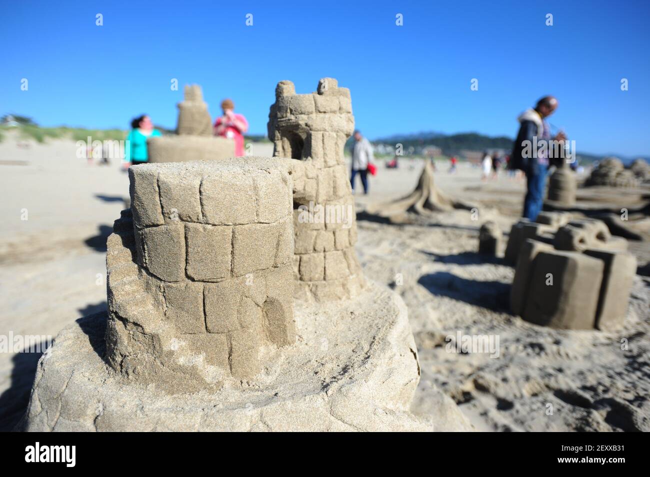Thousands of people came out to observe the various sand sculptures ...