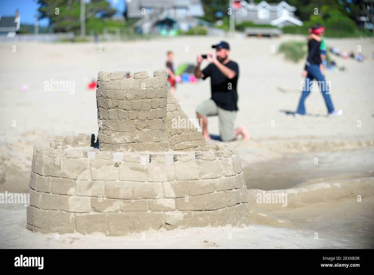 Thousands of people came out to observe the various sandcastles such as ...