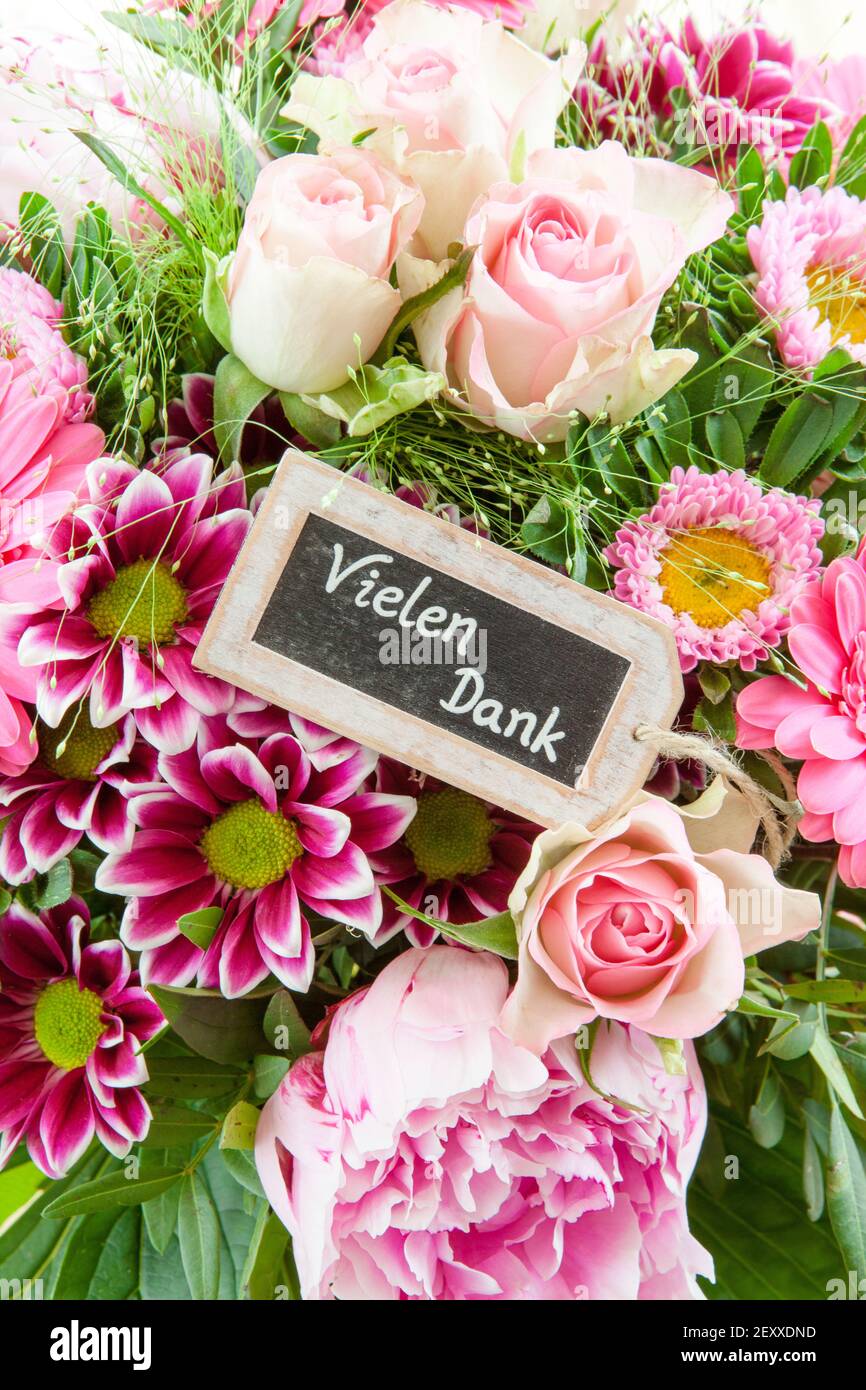 Colorful summer flowers Stock Photo - Alamy