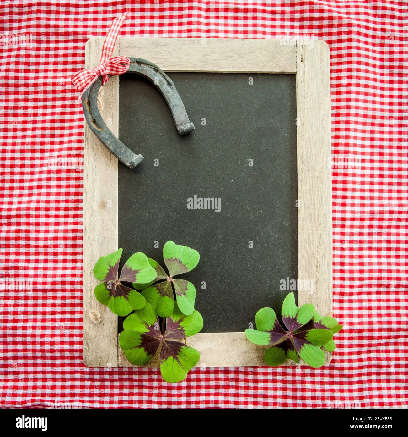 Table with lucky clover Stock Photo - Alamy