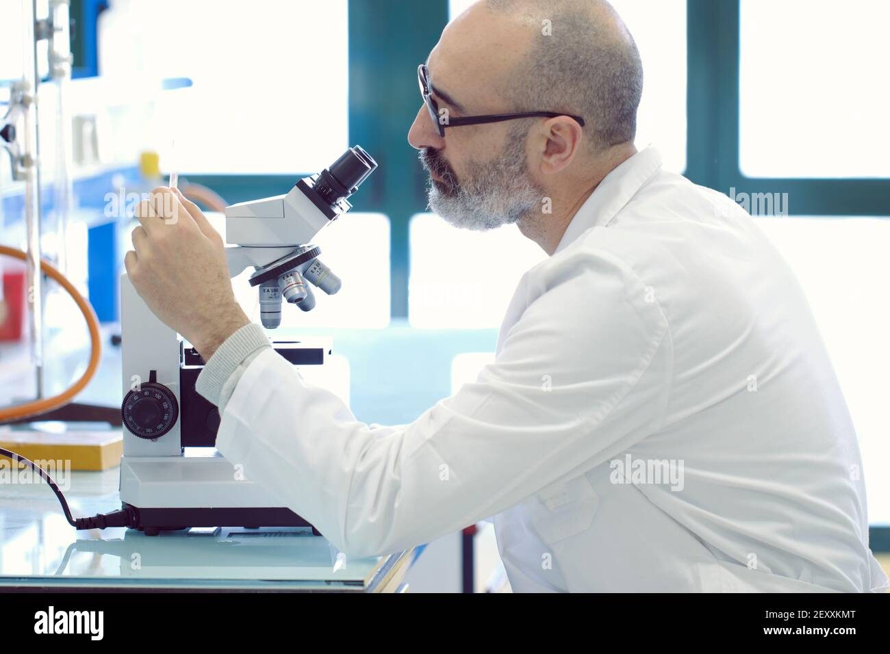 Mature scientist male in his 50s wearing a lab coat looking through a ...