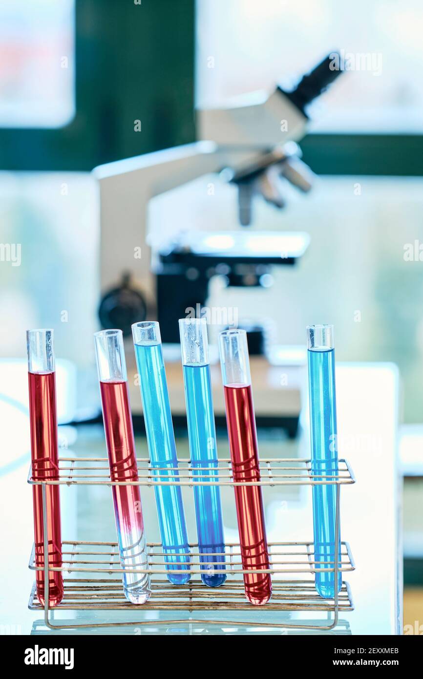 Microscope and test tubes in a scientific laboratory. Basque Country ...