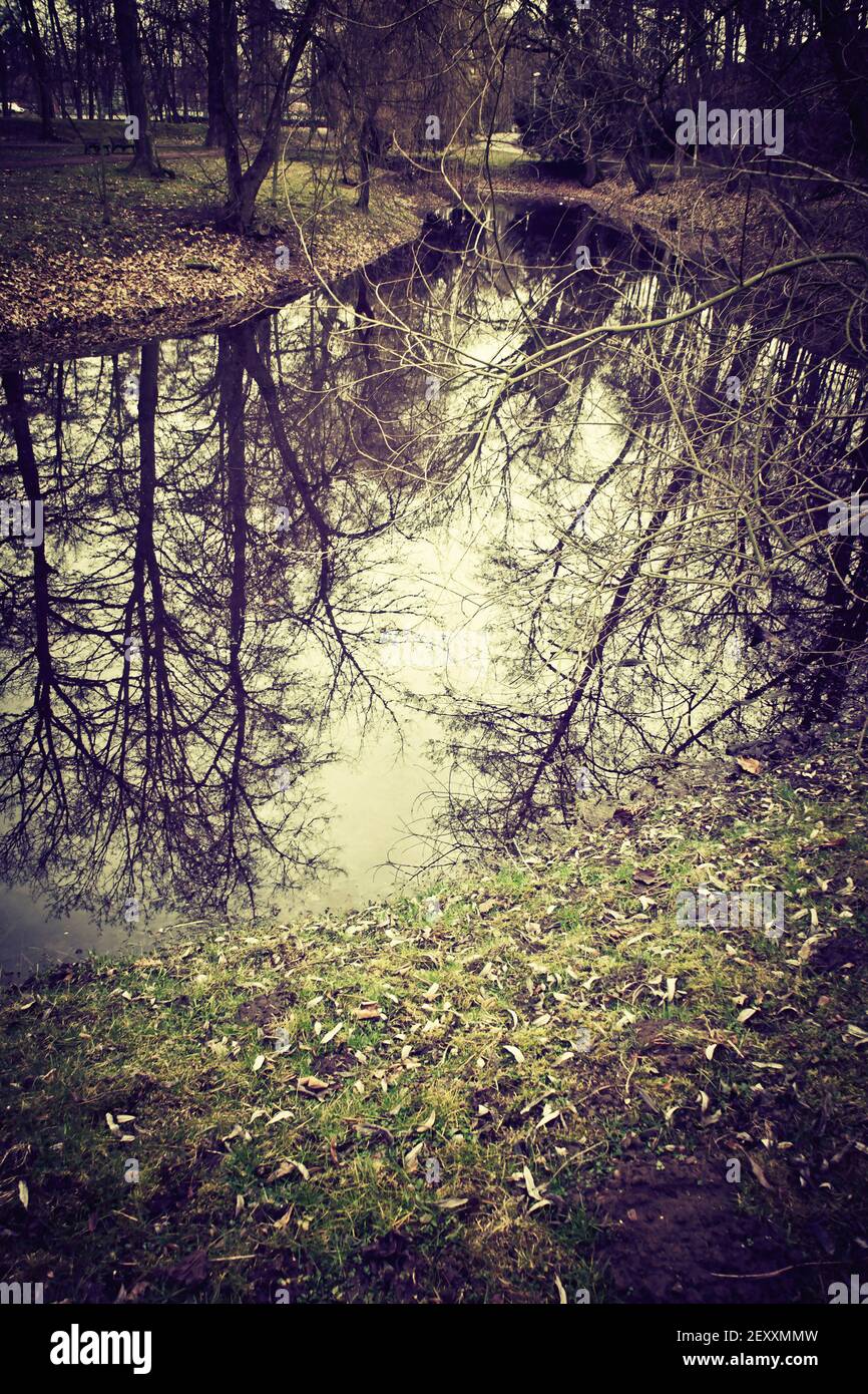 mysterious dark pond Stock Photo - Alamy