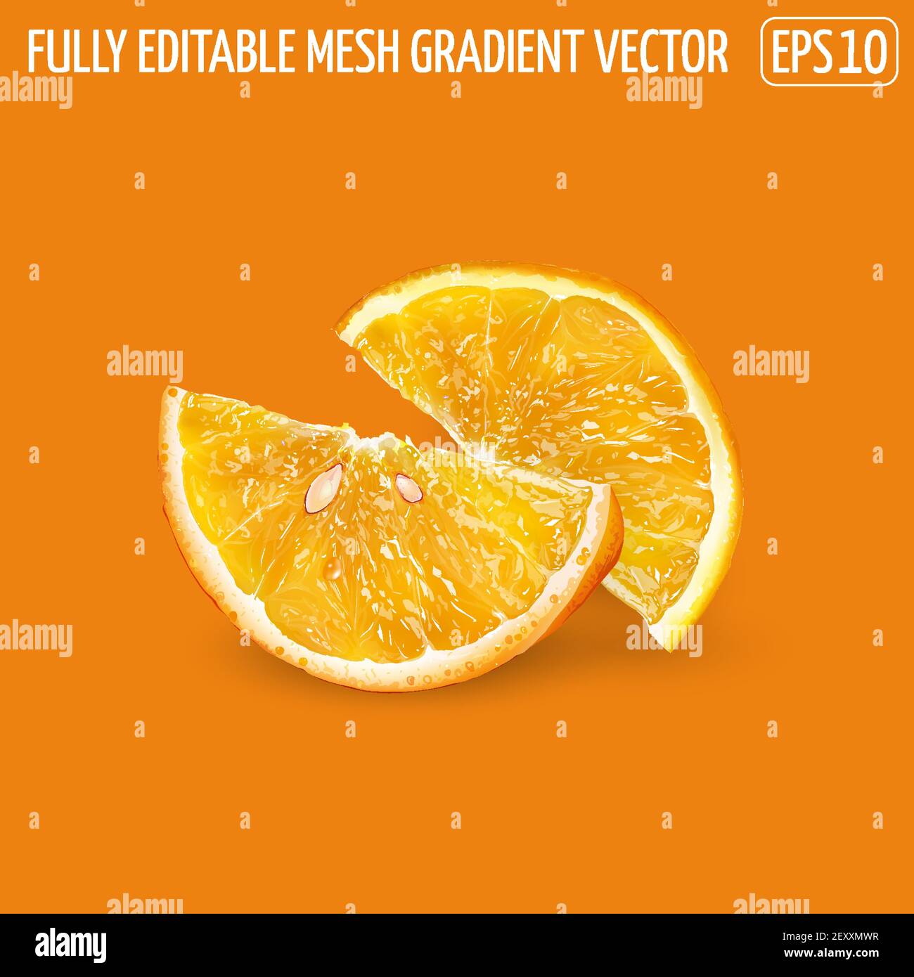 Fresh orange slices cut Stock Vector Images - Alamy