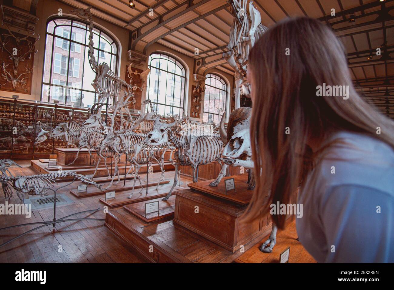 PARIS, FRANCE - Feb 18, 2020: Visiting the Natural history museum in ...