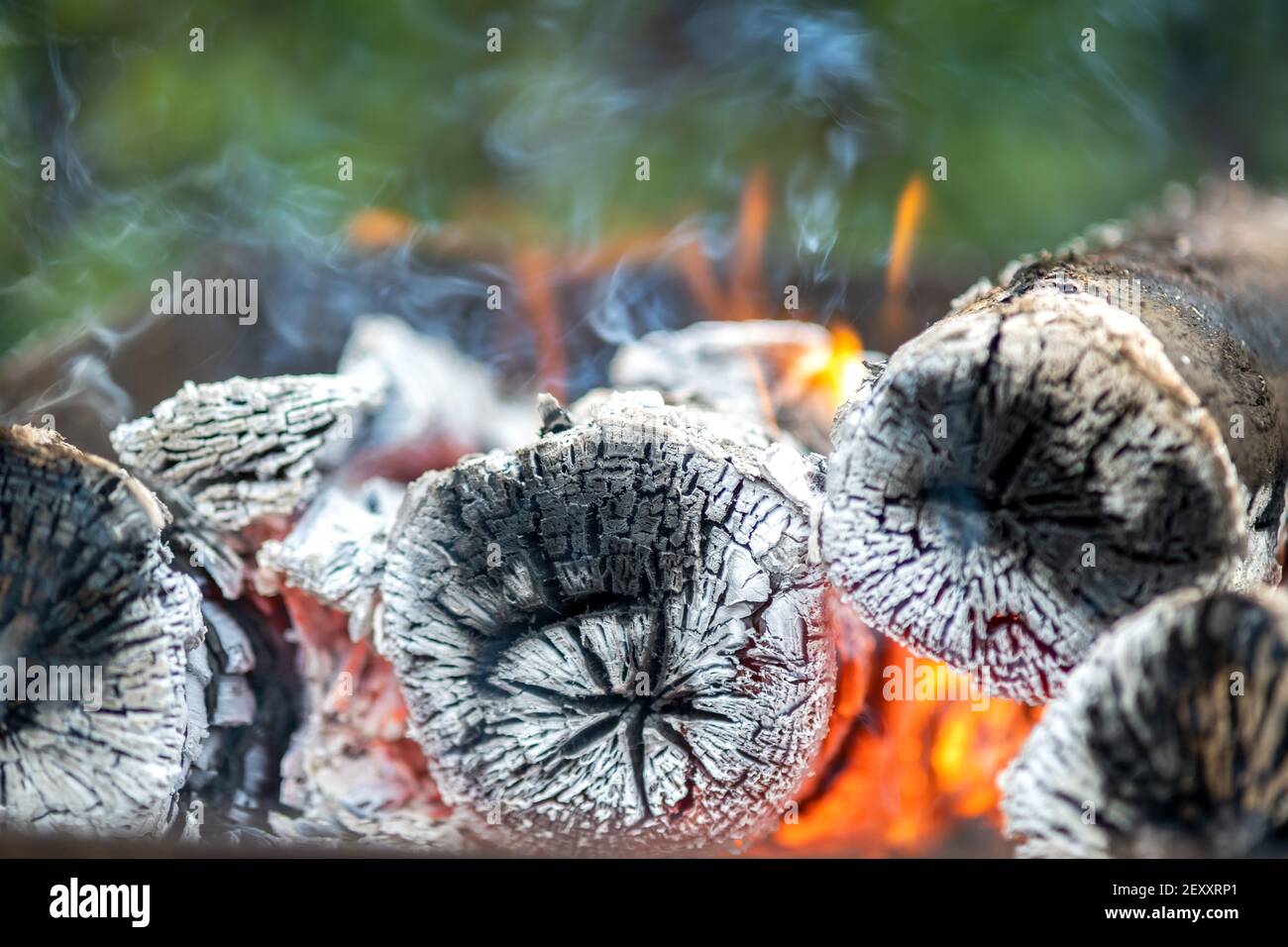 Close up of brightly burning wooden logs with yellow hot flames of fire ...