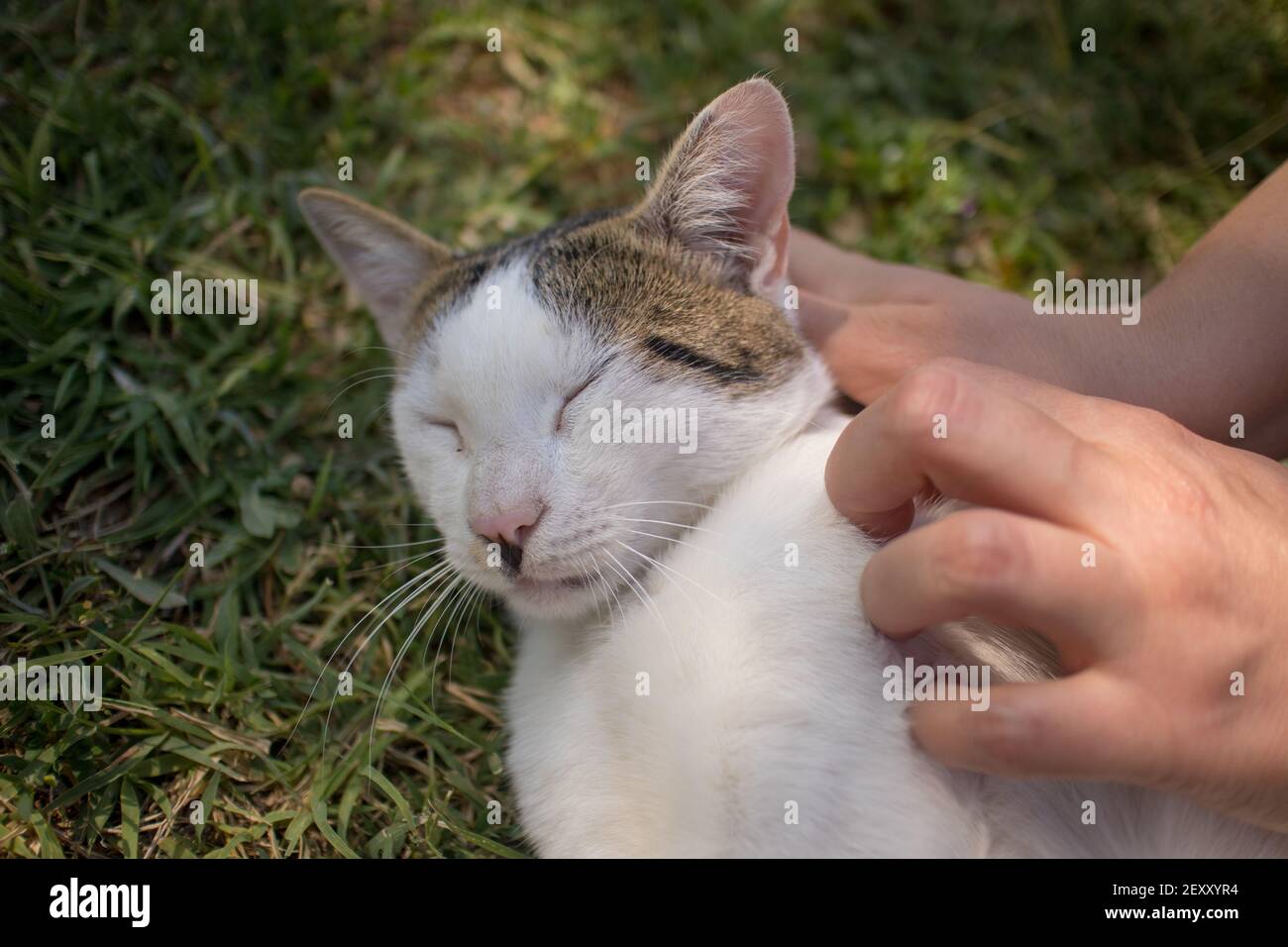 Caressing hand hi-res stock photography and images - Alamy