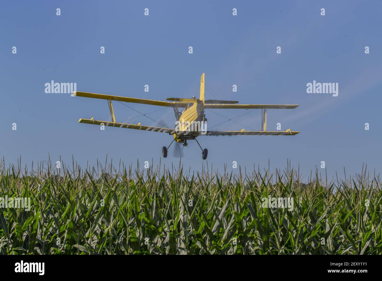 Yellow Crop Duster Stock Photo - Alamy