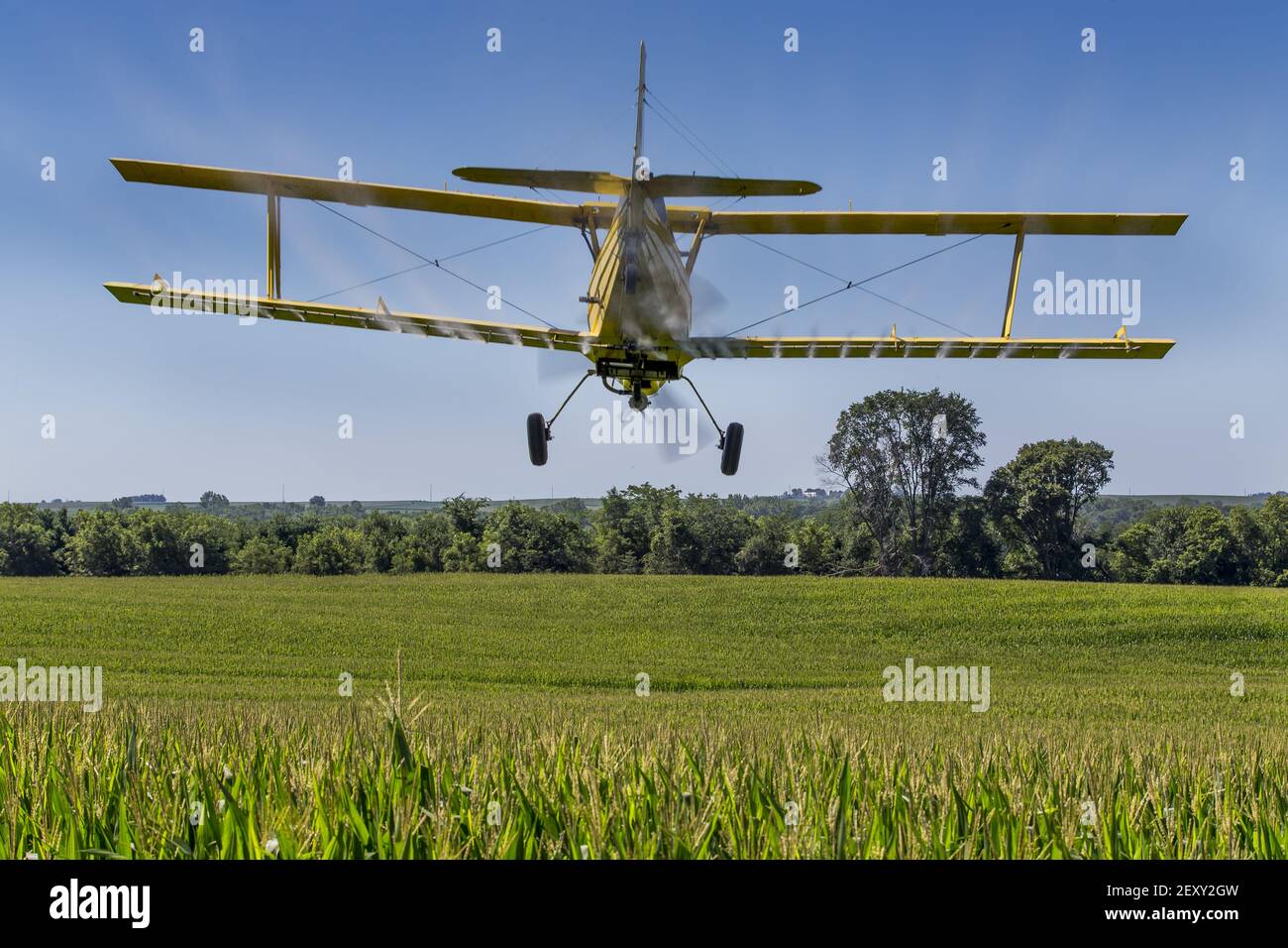 Crop dusting airplane spraying corn hi-res stock photography and images ...