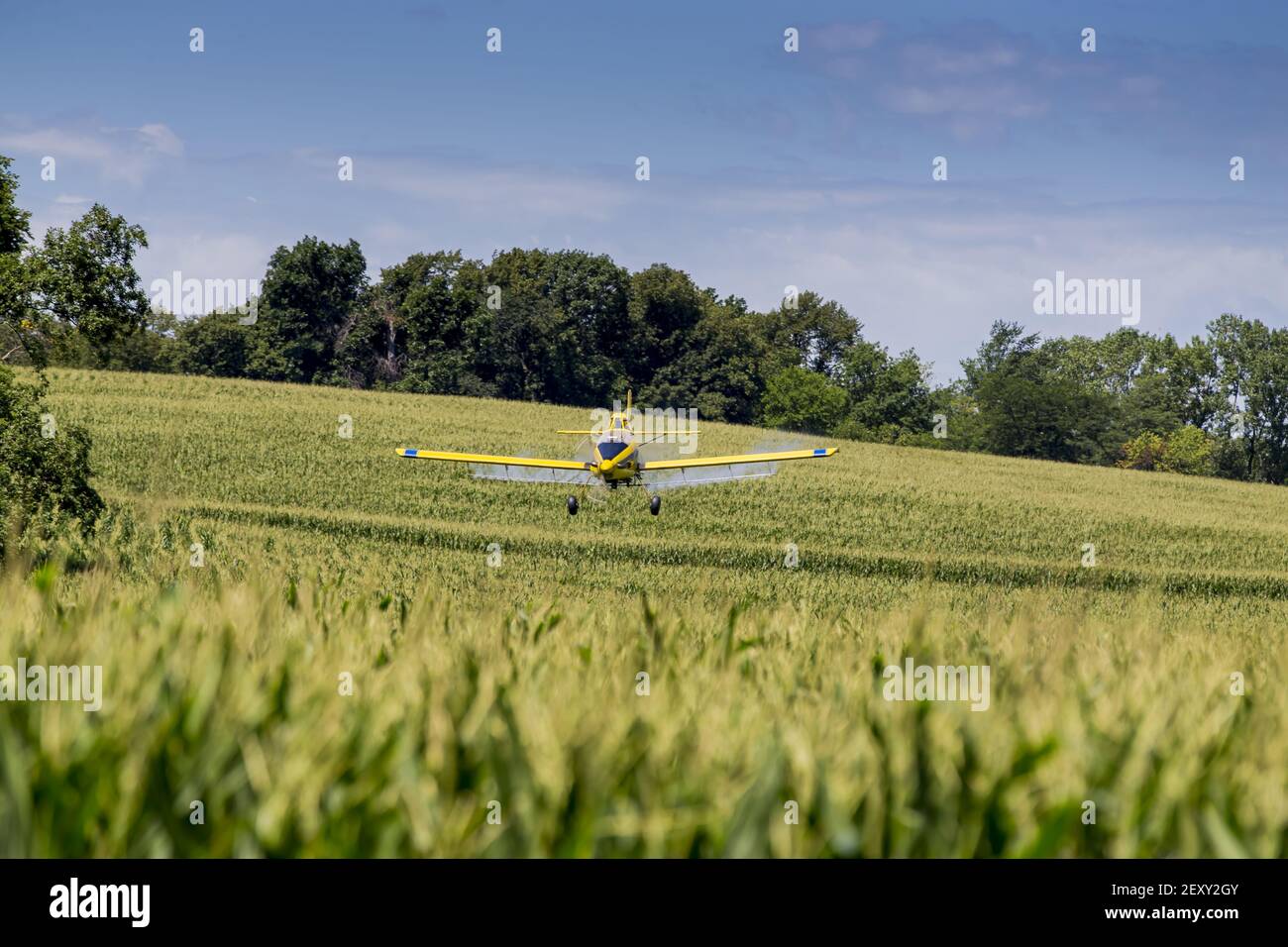 Low flying crop duster biplane hi-res stock photography and images - Alamy