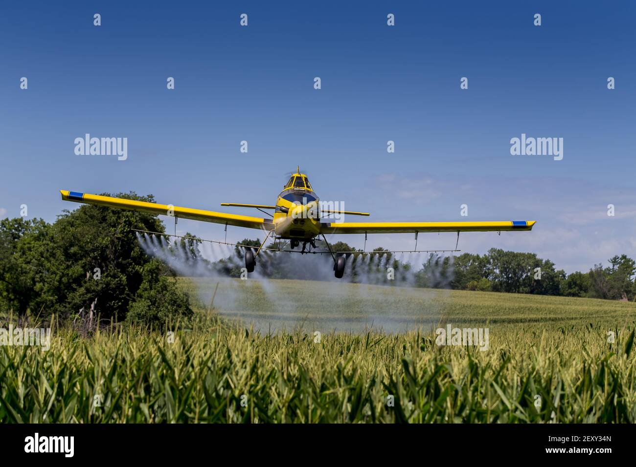 Yellow Crop Duster Stock Photo - Alamy