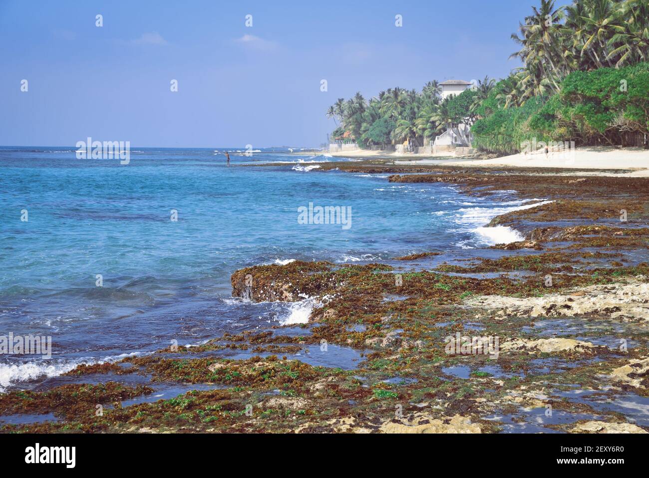 Coast of the Indian Ocean in Sri Lanka Stock Photo - Alamy