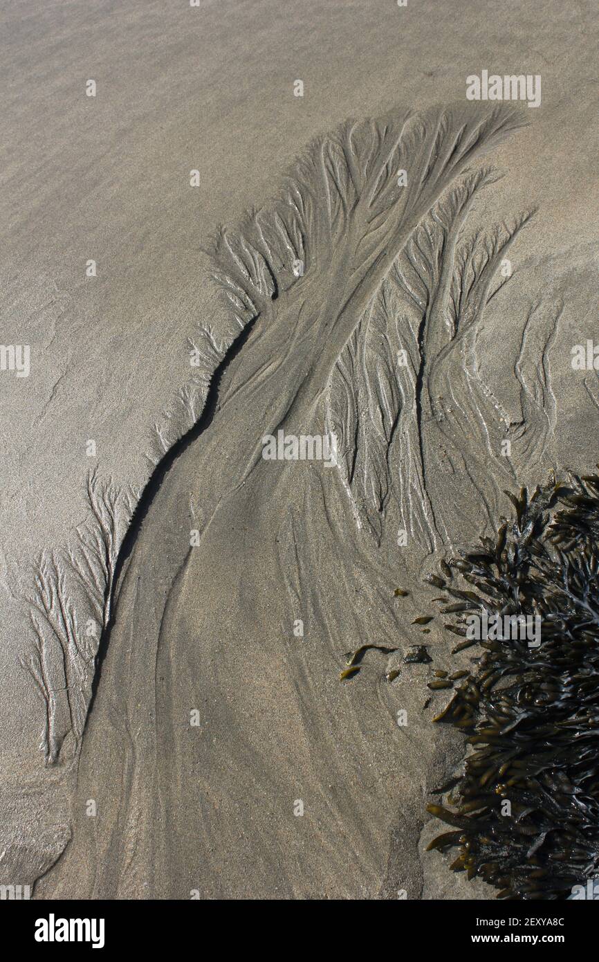 Water Draining from Beach Sand Stock Photo - Alamy