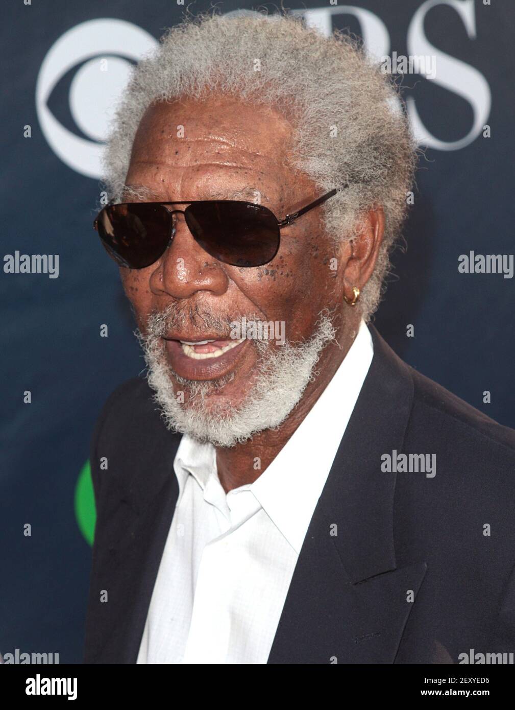 Morgan Freeman attends The 2014 Television Critics Association Summer ...