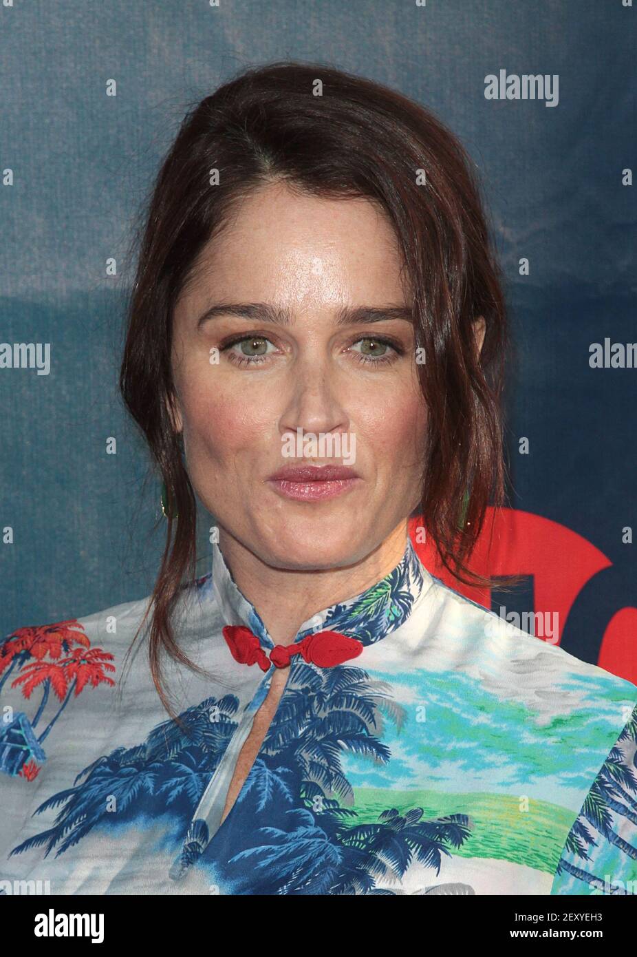 Robin Tunney attends The 2014 Television Critics Association Summer ...