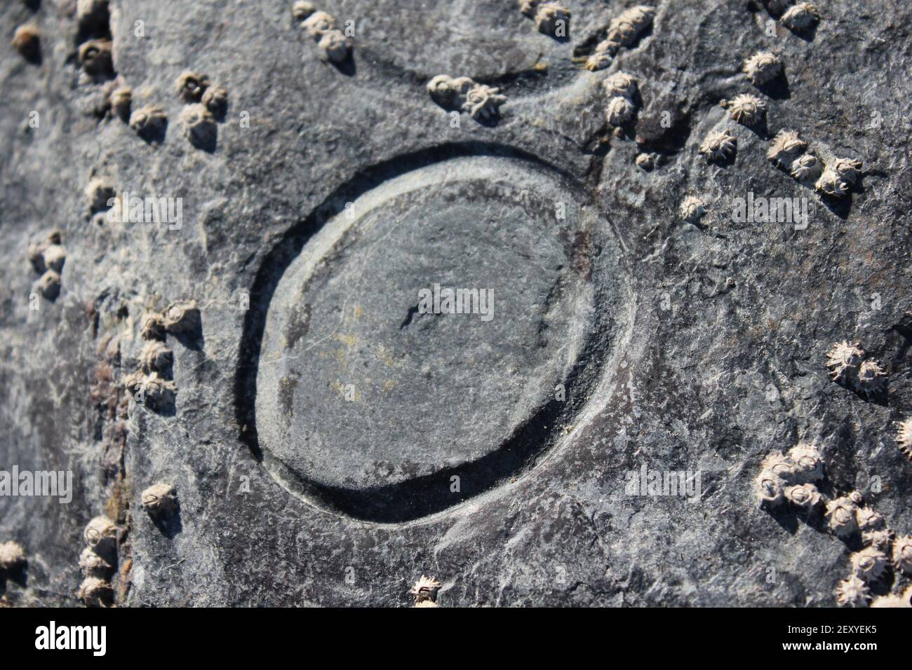 Circle worn in rock texture hi-res stock photography and images - Alamy